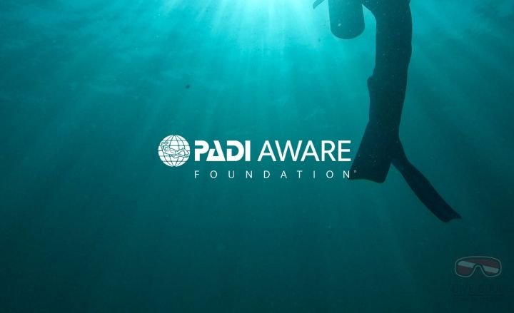 PADI Aware Specialist - Dive Soul - Cursos de Mergulho